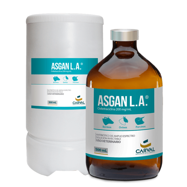 Productos - Starpets